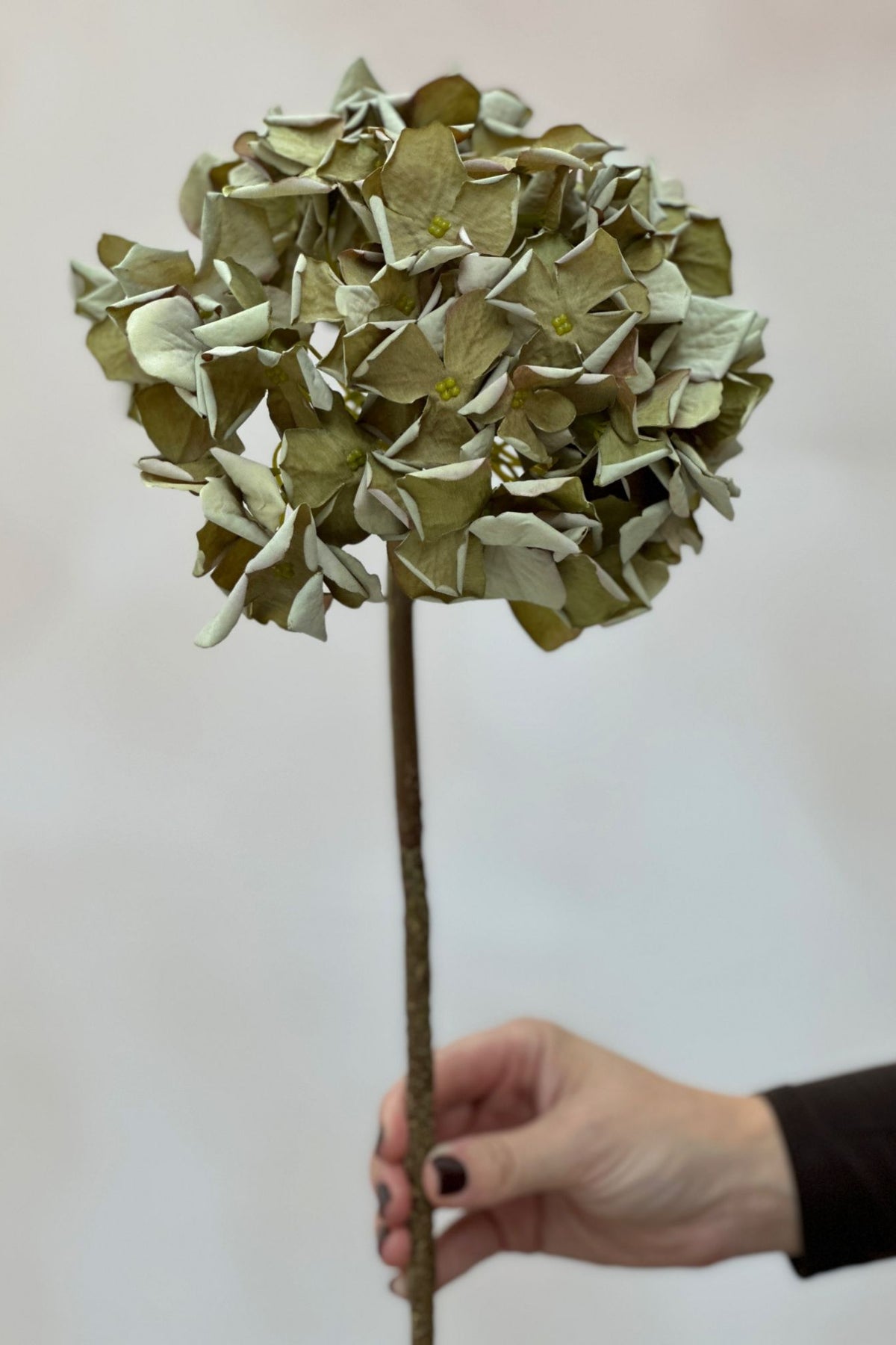 Faux Stems | Realistic Faux Florals – Page 3 – The Suffolk Nest