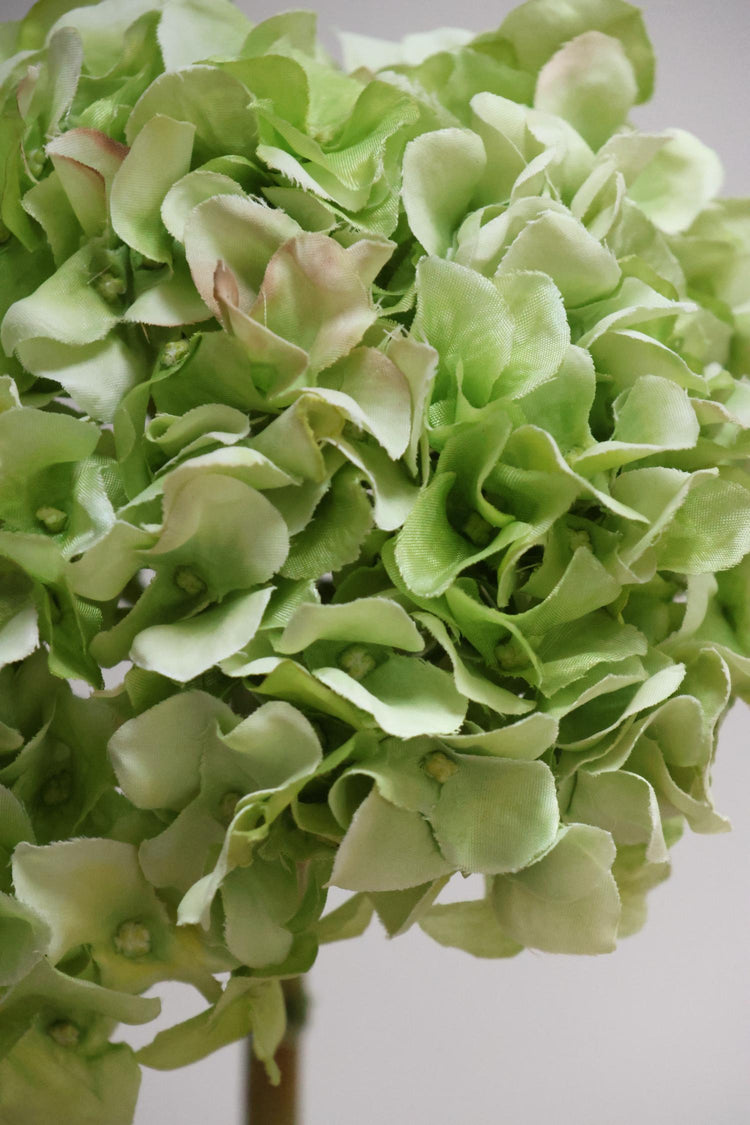 Faux Green Hydrangea – The Suffolk Nest